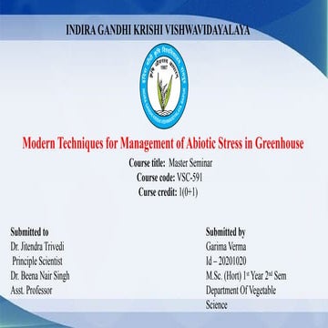 Master Seminar vvgggggggggggggg2k25.pptx