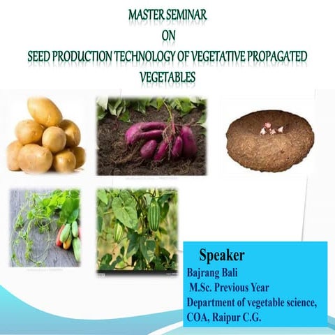 Seed Production Technology of Vegetative propagated vegetables. | PPTX