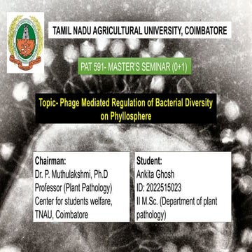 master seminar ppt phage mediated management.pptx