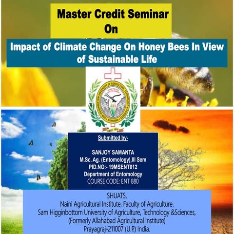 Effect of Climate Change on Bees & Mitigation .pdf