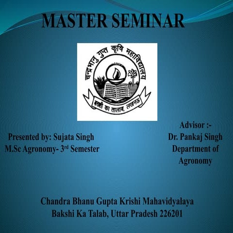 MASTER SEMINAR ss.pptx jsjdd d. Ddd. F ff. F | PPT