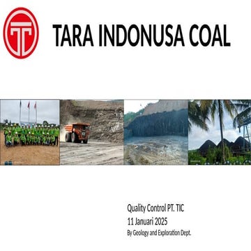 TIC QualityCoal for quality control.pptx