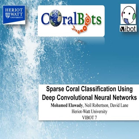 Msc Thesis Sparse Coral Classification Using Deep Convolutional Neural Networks Ppt