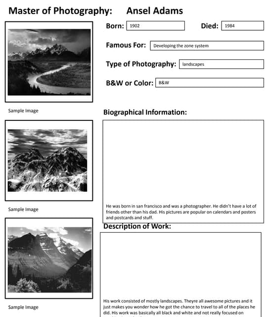 Nelson Mandela Facebook Project | PDF