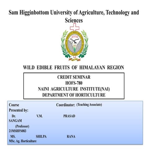 MASTER'S SEMINAR.pptx