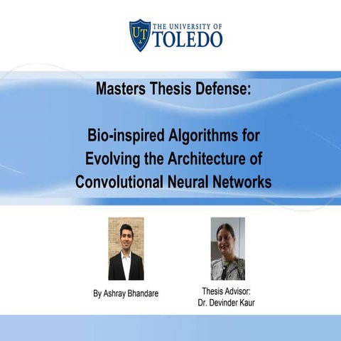 Bio Inspired Algorithms For Evolving The Architecture Of Convolutional