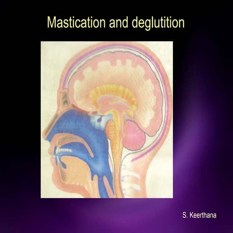Mastication. Chewing Cycles & Oral Reflexes - Oral Physiology | PPTX