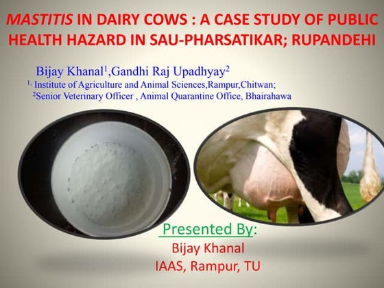Mastitis in cattle, buffalo | PPT | Ear, Nose and Throat Conditions ...