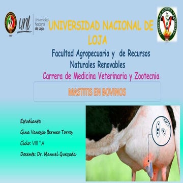 Mastitis Bovina | PPTX