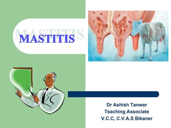 Mastitis (2) | PPT