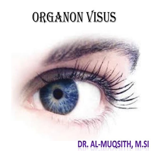 MATA.pdf sddddwqdqwdqwdqwcqwcqwsdwqcwqdwqd | PPT