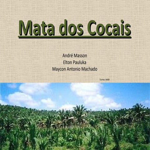Mata dos cocais | PPT