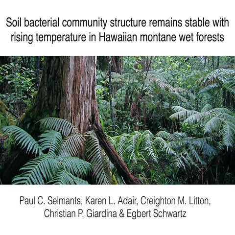 Climate warming and soil bacterial diversity in tropical montane wet ...