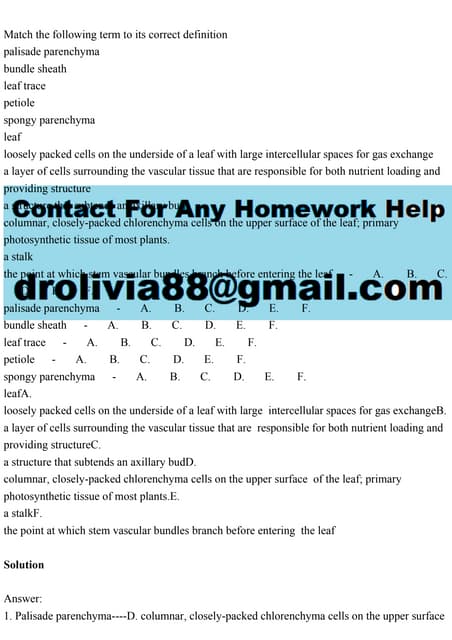 Food storage root | PPTX