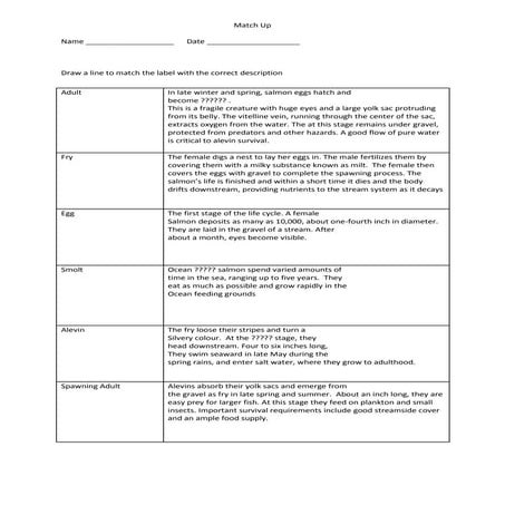 Match up worksheet | DOCX