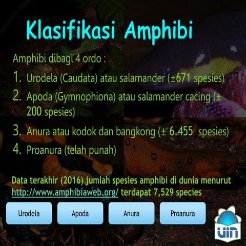 Laporan Praktikum 3 Amphibia | PDF