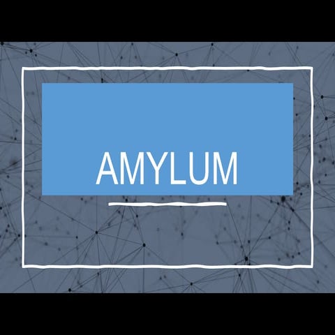 materi Amylum Farmakognosi kelas XI.pptx