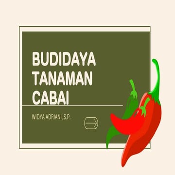 Materi tentang Budidaya Tanaman Cabai Merah | PDF