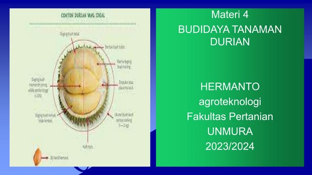 Macam macam jenis potongan buah / cutting vegetable and fruit | PPTX