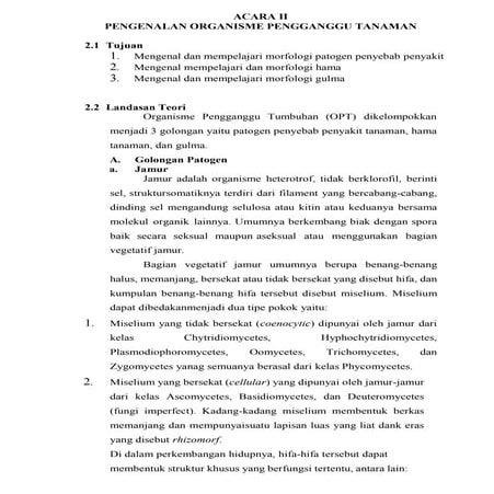 Modul Praktikum | PDF