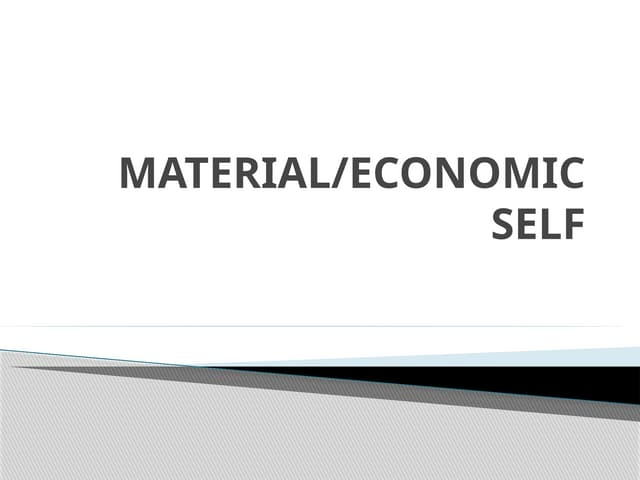 THE MATERIAL AND ECONOMIC SELF.pdf