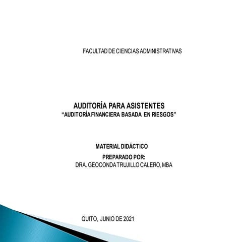 MATERIALAUDITOR BASADA RIESGOS.pdf