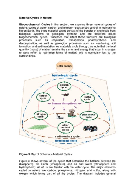 ROLE OF MICROBES BIOGEOCHEMICAL CYCLE IN OCEAN | PPT