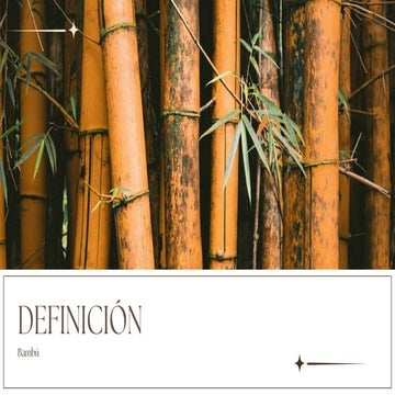 Manual de construccion con Bambu Guadua Joerg Stamm | PDF