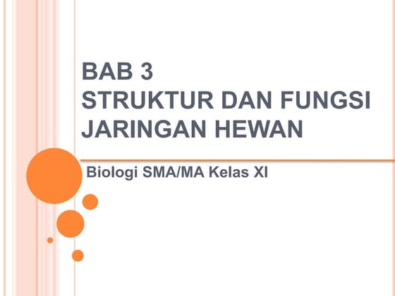 MATERI Jaringan hewan KELAS XI SMA | PDF