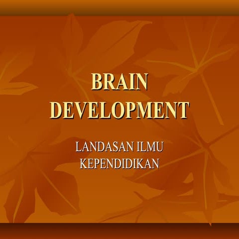 Materi brain development | PPT
