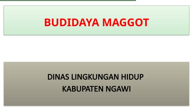 Budidaya Maggot Black Soldier Fly (BSF).pptx