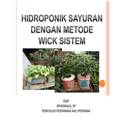 Materi Hidroponik sederhana Sistem Wick.pptx