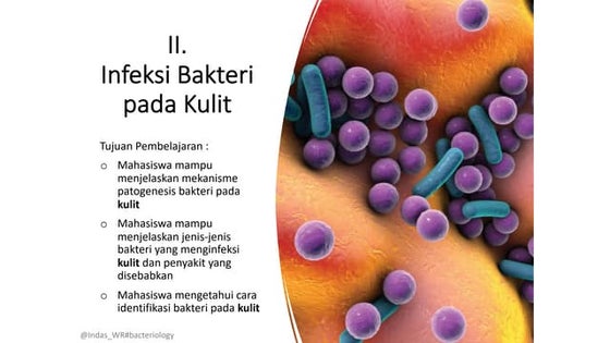 Infeksi Bakteri 210.pptx