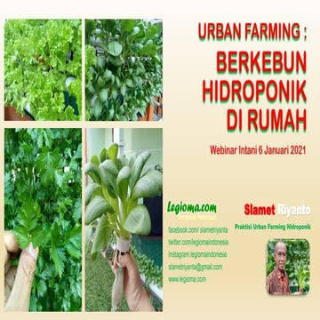 Materi Inspirasi Bisnis INTANI #7 Urban Farming Berkebun di Rumah_Bpk ...