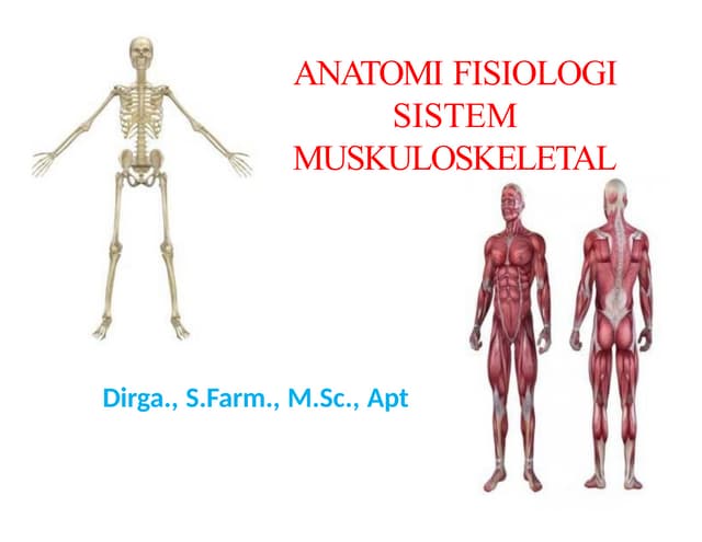 Anatomi Fisiologi Sistem Muskuloskeletal.ppt