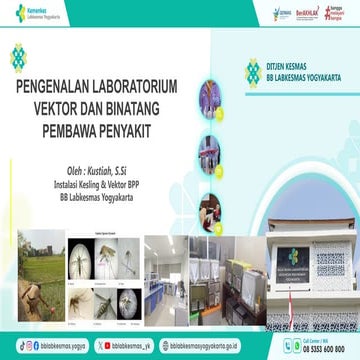 METERI PENGENALAN LAB VEKTOR BPP OLEH KUSTIAH.pptx