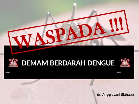 MATERI PENYULUHAN DEMAM BERDARAH | PPTX