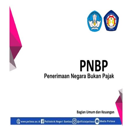 Materi PNBP 2022.pdf