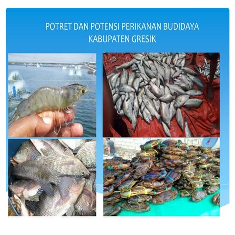 Materi Sekjen tentang Perikanan Budidaya | PPT