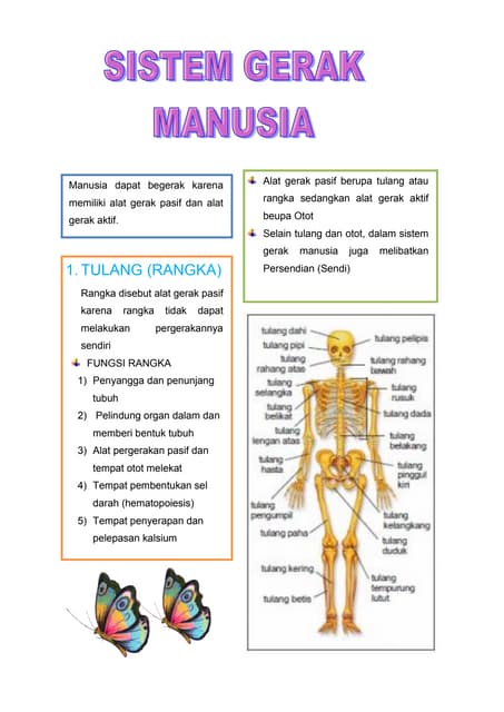 Sistem gerak pada manusia | PPTX