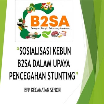 MATERI SOSIALISASI KEBUN B2SA BPP KEC SENORI.pptx