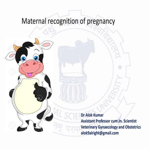 Maternal-recognition-of-pregnancy.pptx