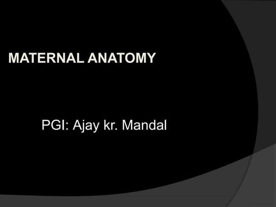 Anatomy Of Cervix Ppt