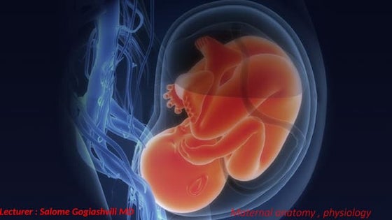 Hypertrophic elongated cervix (elongation of cervix) | PPTX | Pregnancy ...