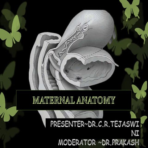 Maternal Anatomy by _ Dr. tejaswini [Autosaved].pptx