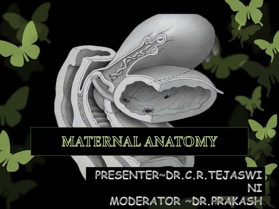 Anatomy of cervix | PPTX