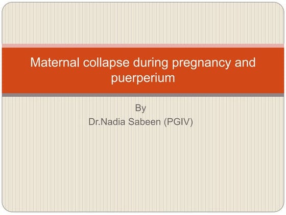 Maternal pelvis | PDF