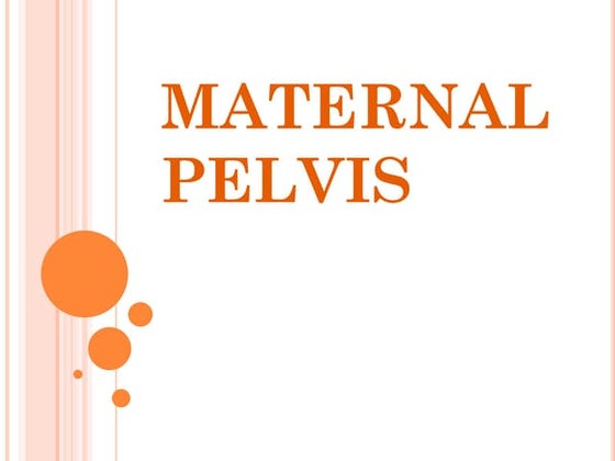 Female pelvis | PPT