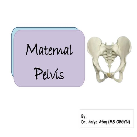 maternal pelvis and it's diameters in obstetrics | PPTX