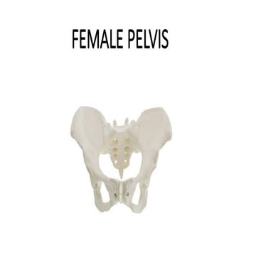 Anatomy of female pelvis and Fetal Diameters 2020.pptx